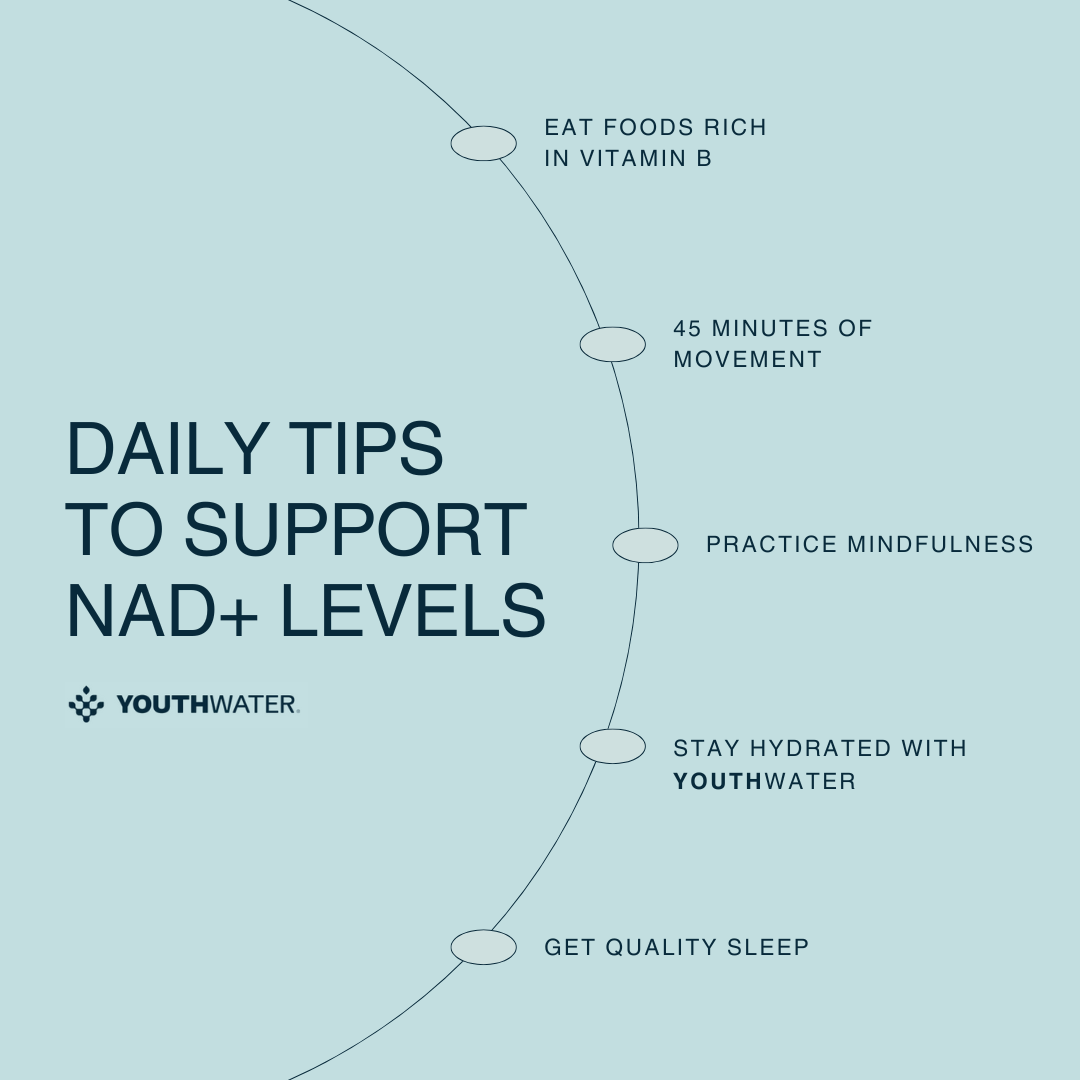 What is NAD+? – YOUTHWATER