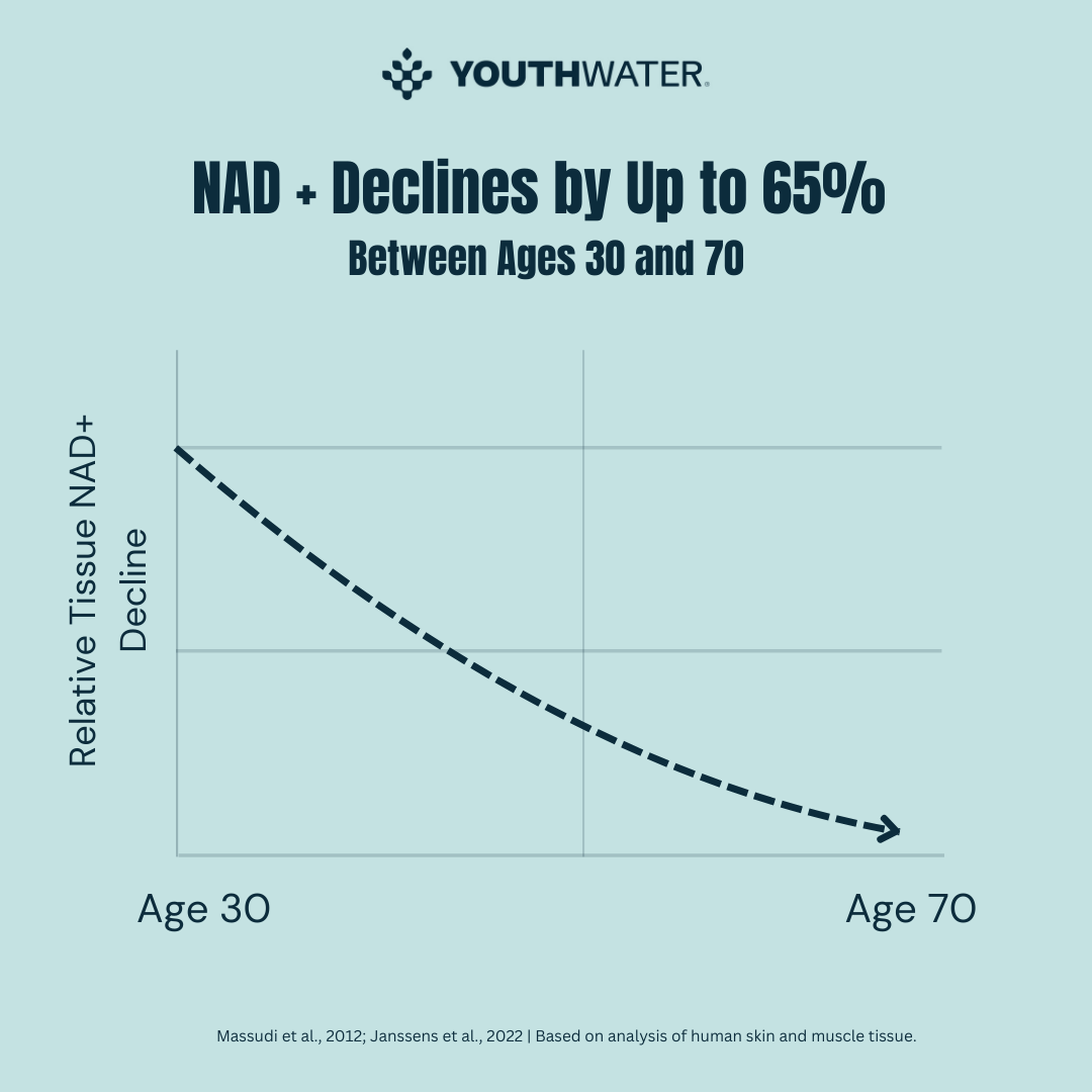 Understanding the Impact of Aging on NAD+ Levels – YOUTHWATER